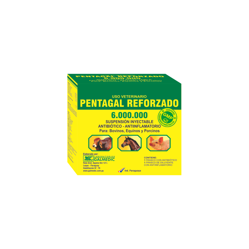 PENTAGAL REFORZADO 6.000.000